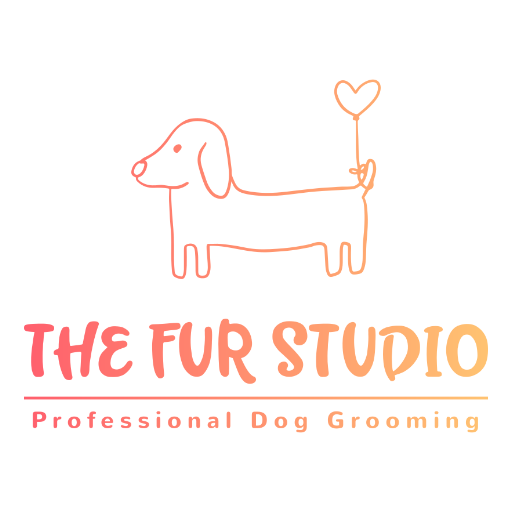 Appointments - The Fur Studio